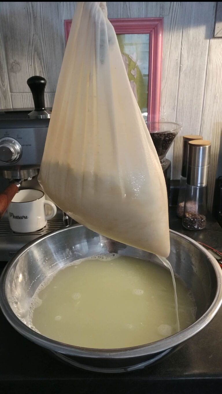 Raw Cottage Cheese Made With Clabbered Milk (Naturally Cultured ...