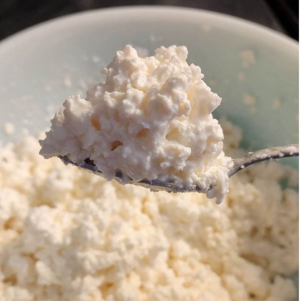 Raw Cottage Cheese Made With Clabbered Milk (Naturally Cultured ...
