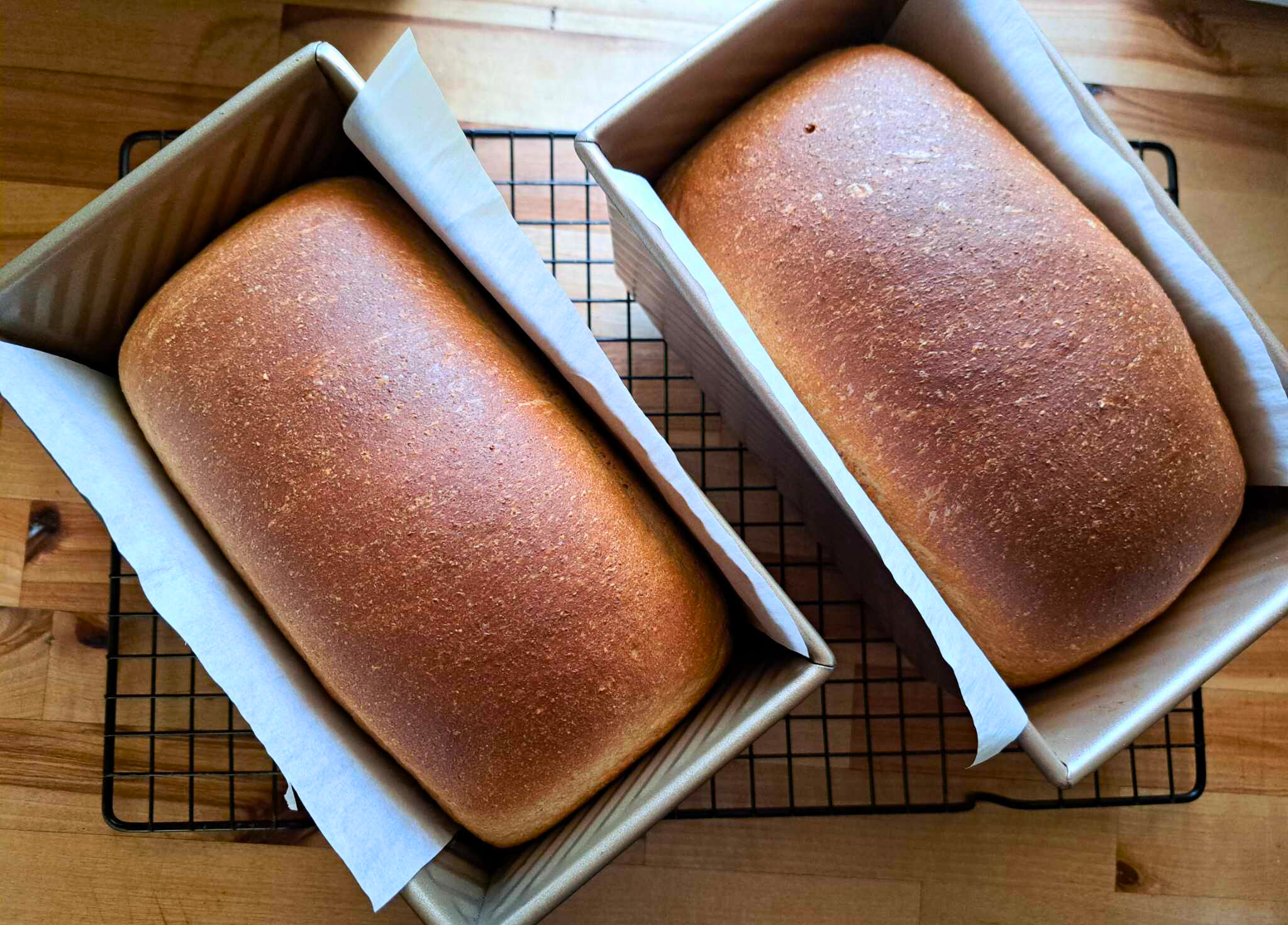 Brioche Bread Made With Fresh Milled Flour (Tangzhong Method) - Fresh ...