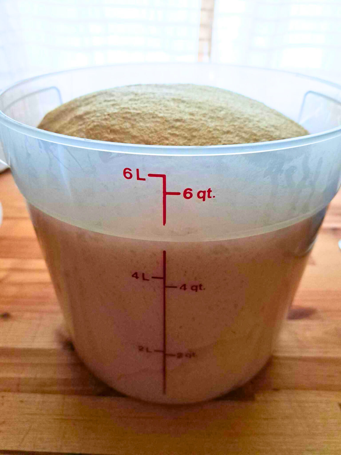 Homemade Subway-Style Sub Buns Made With Fresh Milled Flour - Fresh ...