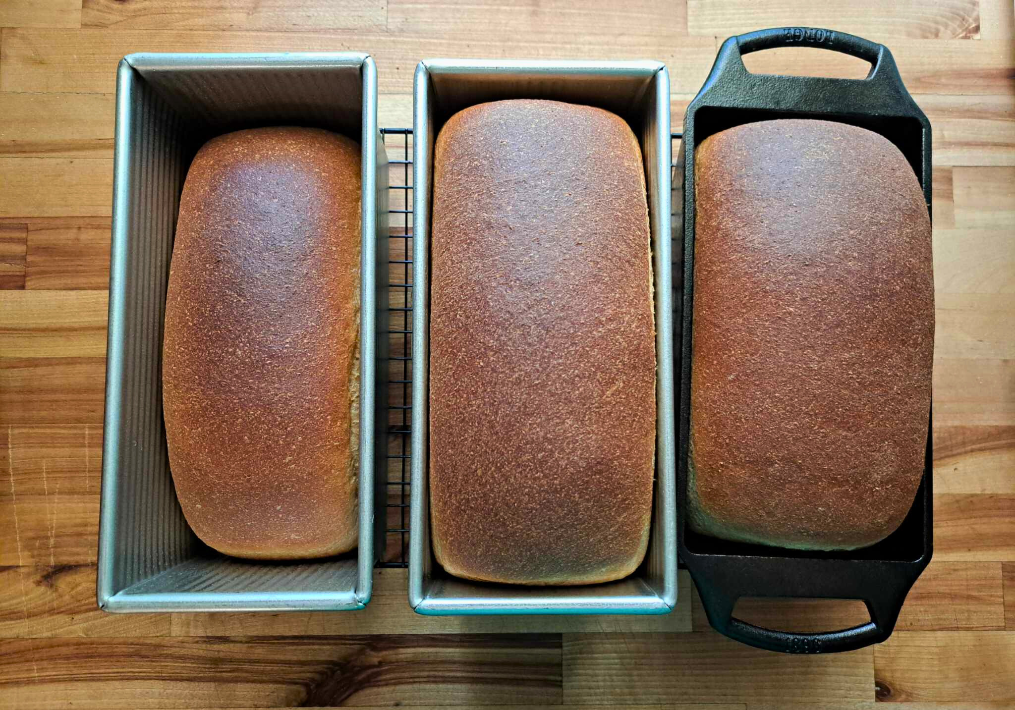 Soft Sandwich Bread Made With Fresh Milled Flour - Fresh Milled Mama