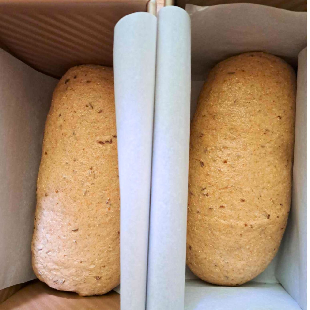 Seeded Rye Bread Made With Fresh Milled Flour (Jewish Rye) - Fresh ...