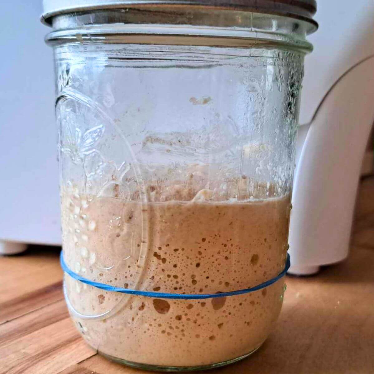 How To Make Your Own Fresh Milled Flour Sourdough Starter - Fresh ...