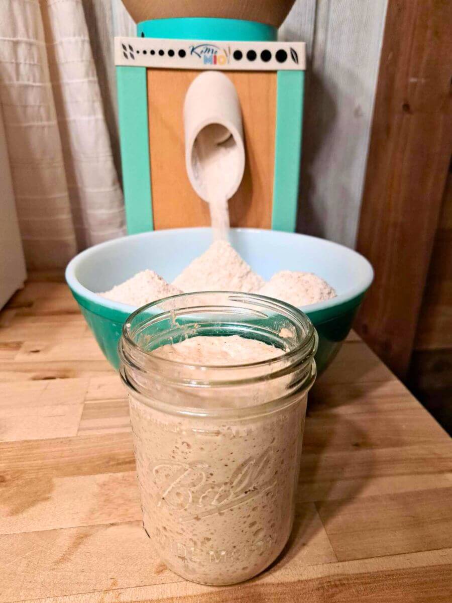 Sourdough Bread Made With 100% Fresh Milled Flour (Boule/Batard ...