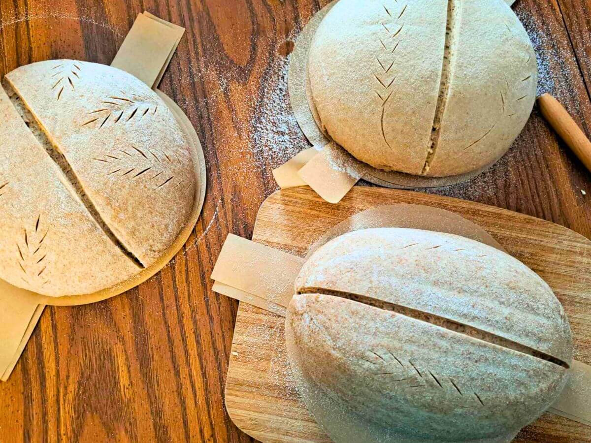 Sourdough Bread Made With 100% Fresh Milled Flour (Boule/Batard ...