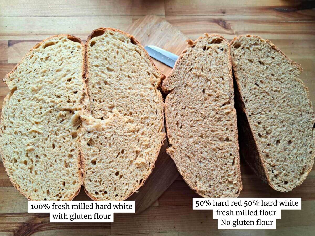Sourdough Bread Made With 100% Fresh Milled Flour (Boule/Batard ...