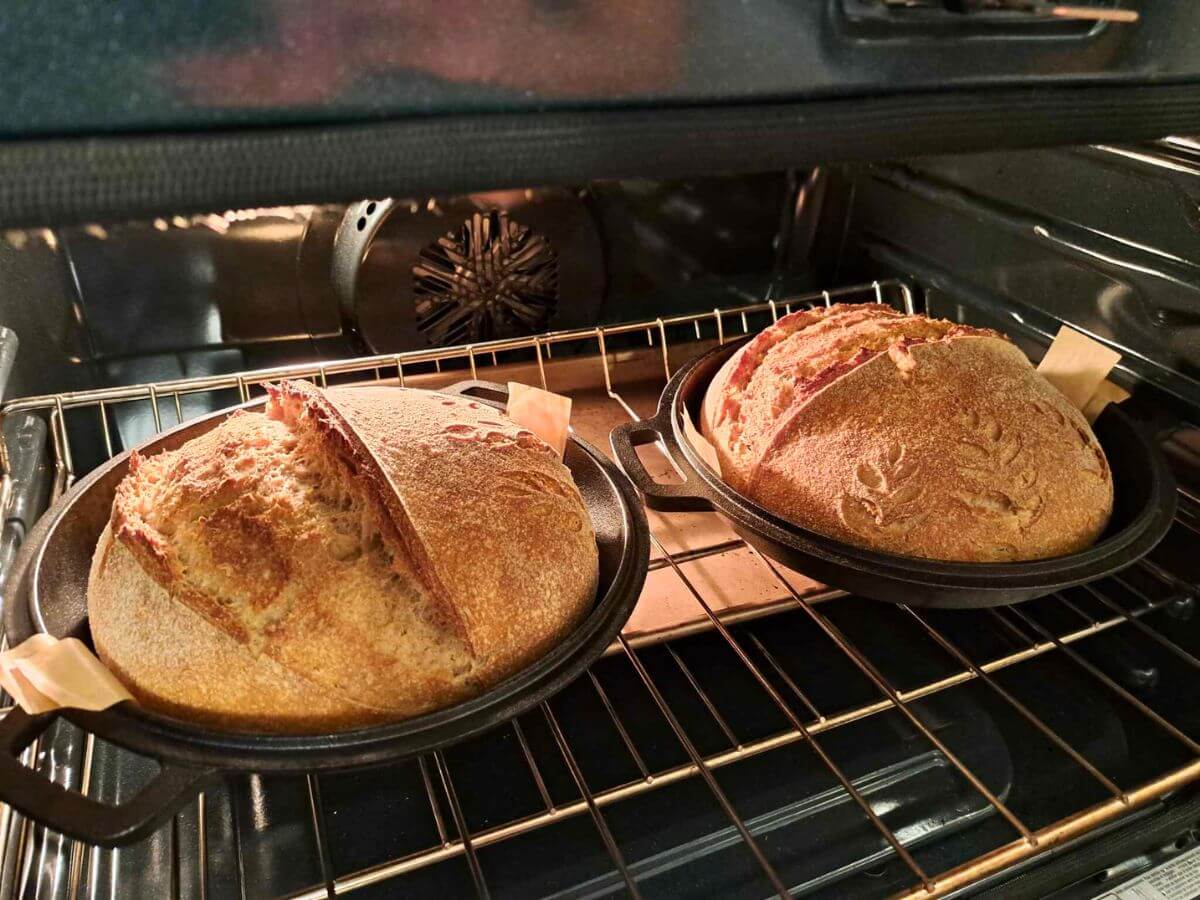Sourdough Bread Made With 100% Fresh Milled Flour (Boule/Batard ...