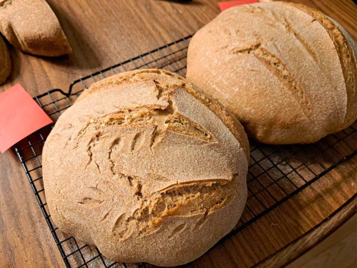 Sourdough Bread Made With 100% Fresh Milled Flour (Boule/Batard ...