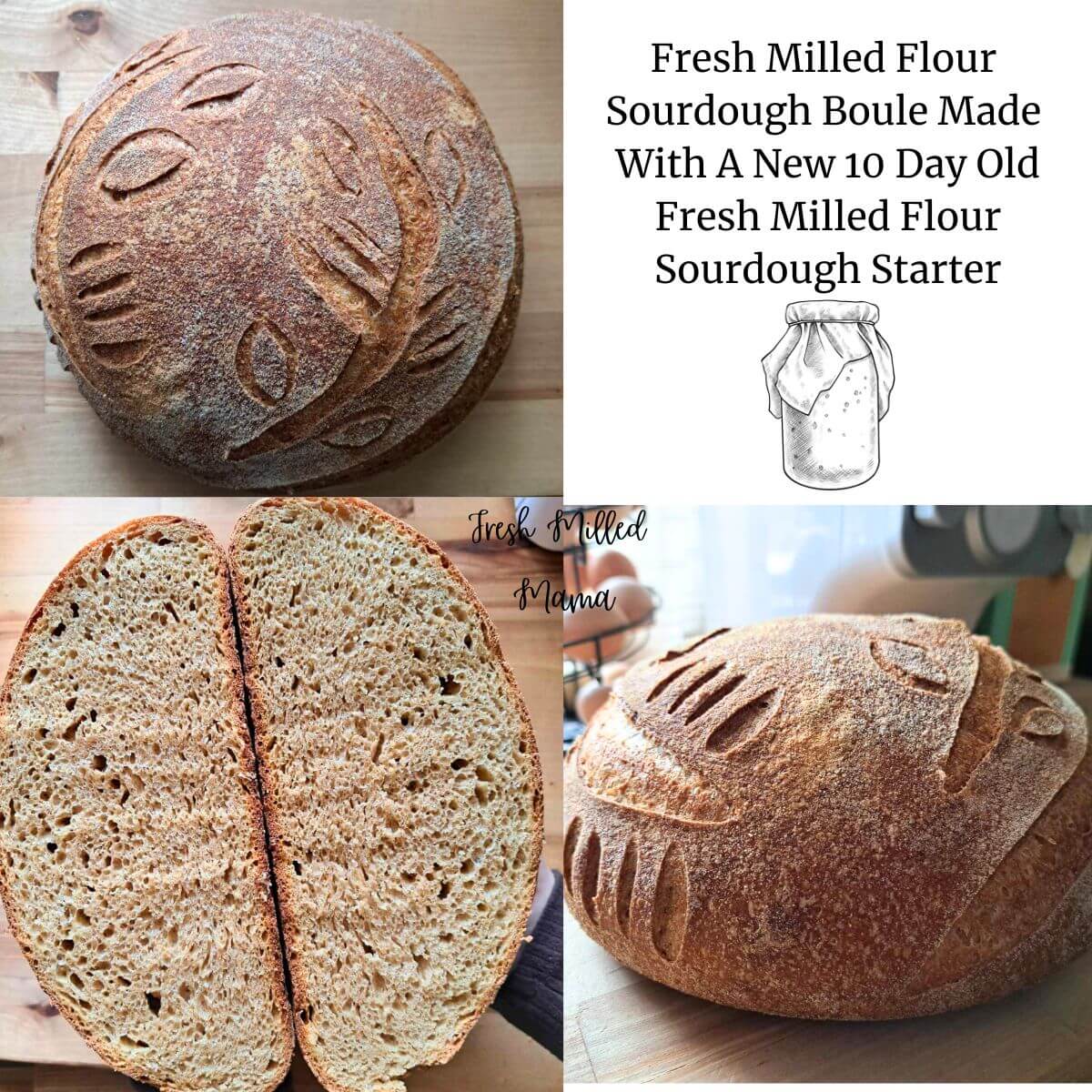 How To Make Your Own Fresh Milled Flour Sourdough Starter - Fresh ...