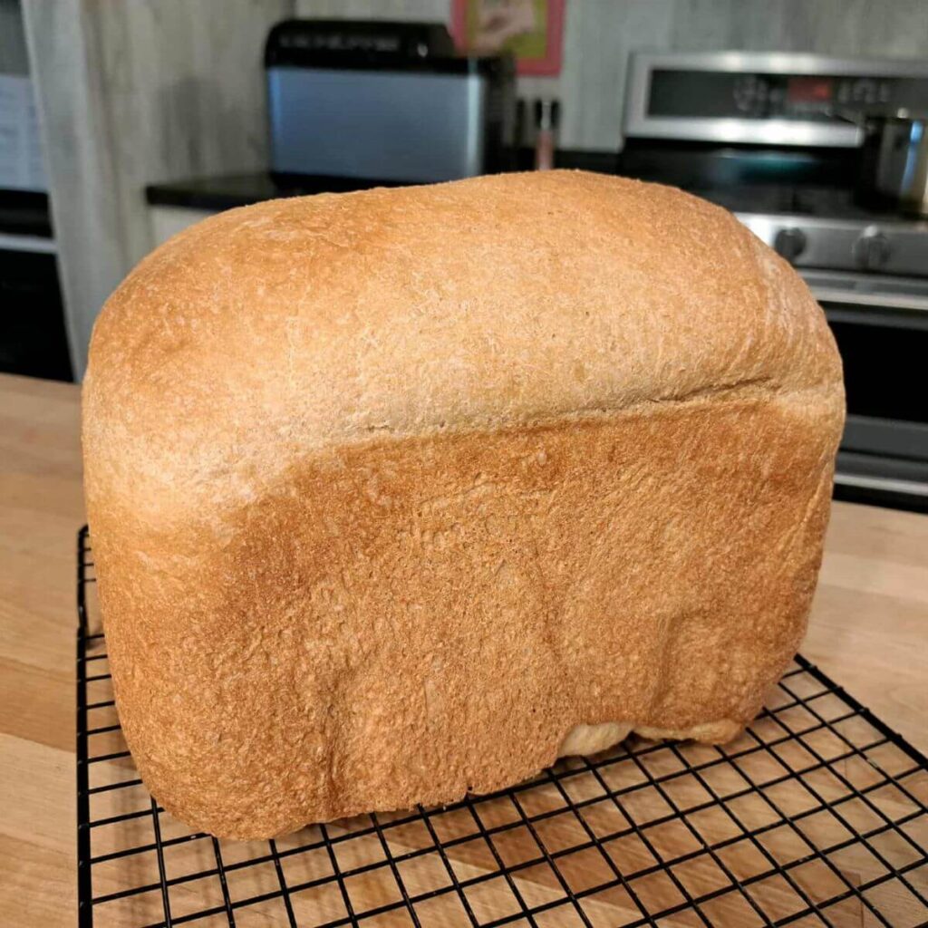 Zojirushi Bread Machine Sandwich Loaf Made With Fresh Milled Flour ...